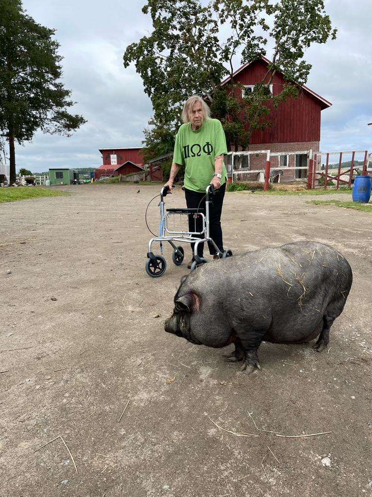 Kesän viimeisiä juttuja - Ilonpisara ry